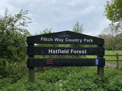 Best Forest Trails in Hatfield Forest | AllTrails