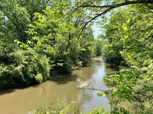 Best Hikes and Trails in Yellow River Park | AllTrails