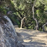 Ontario Ridge Trail via Sycamore Springs, California - 445 Reviews, Map ...