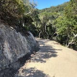 Ontario Ridge Trail via Sycamore Springs, California - 445 Reviews, Map ...