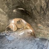 Smugglers Cave Trail, California - 156 Reviews, Map | AllTrails