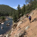 Gill Trail, Colorado - 302 Reviews, Map | AllTrails