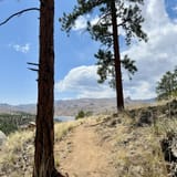 Gill Trail, Colorado - 302 Reviews, Map | AllTrails