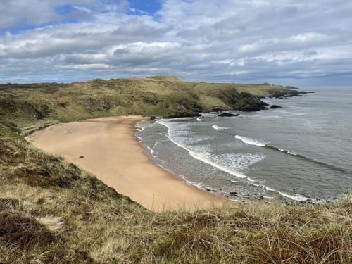 Best Hikes and Trails in Forvie National Nature Reserve | AllTrails