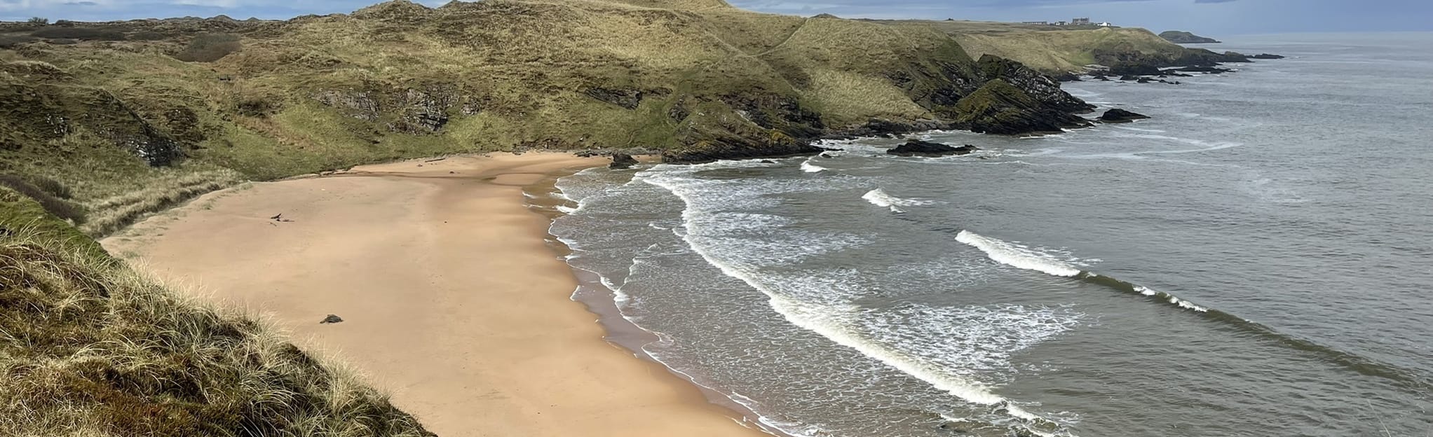 Forvie Reserve and Hackley Bay Circular: 81 foto's - Aberdeenshire ...