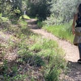 Tenaja Canyon via Tenaja Trail, California - 181 Reviews, Map | AllTrails