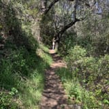Tenaja Canyon via Tenaja Trail, California - 181 Reviews, Map | AllTrails
