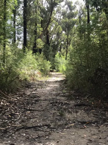 Best Hikes and Trails in Meroo National Park | AllTrails