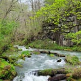 Greer Spring Trail, Missouri - 276 Reviews, Map | AllTrails