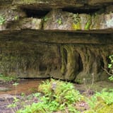 Greer Spring Trail, Missouri - 276 Reviews, Map | AllTrails