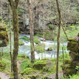 Greer Spring Trail, Missouri - 276 Reviews, Map | AllTrails