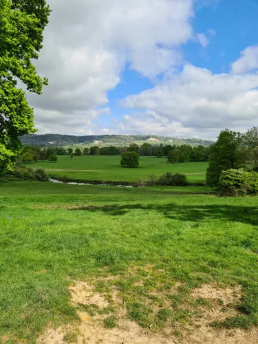 Best Hikes and Trails in Ashtead Common National Nature Reserve | AllTrails