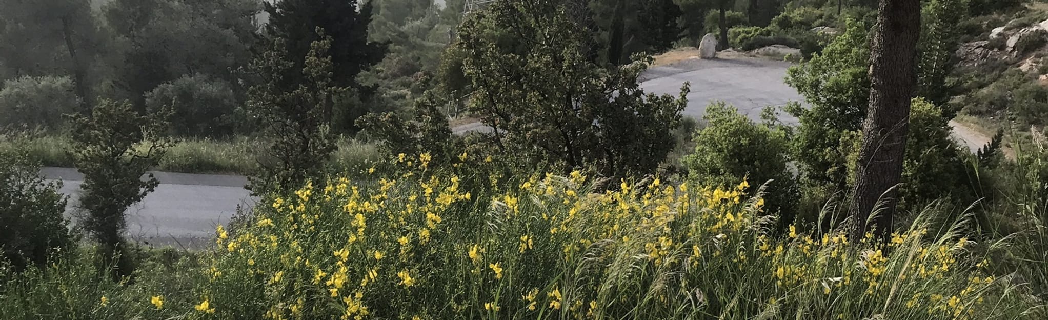 Rubinstein Monument, Mount Shalmon and Fischer Junction: 0 Reviews, Map ...