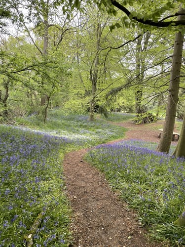 2023 Best Long Trails in Dedham Vale Area of Outstanding Natural Beauty ...