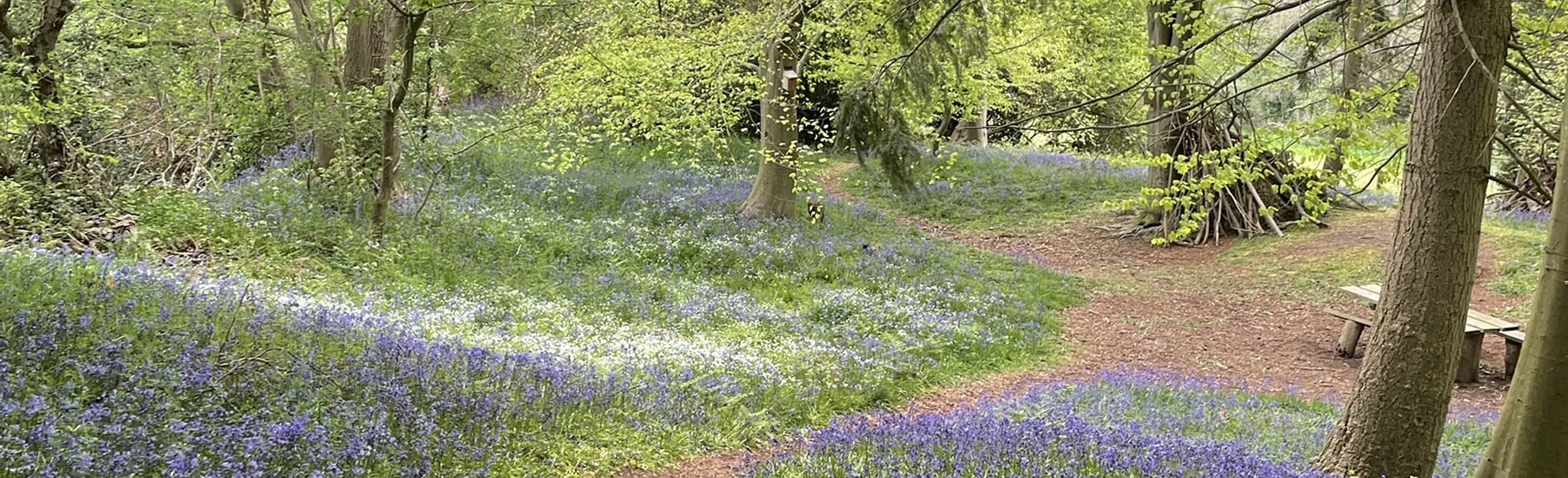 Arger Fen and Bures Circular, Suffolk, England - 16 Reviews, Map ...