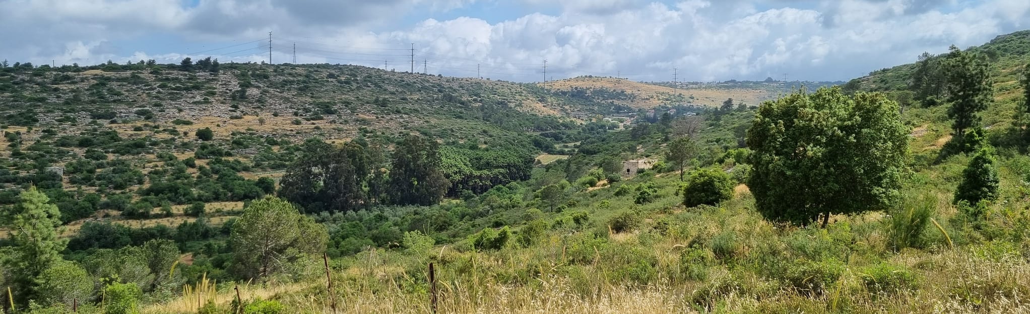 Horvat Hanot, Bar Giora, Darban Ruins and Zanoah Stream, Jerusalem ...