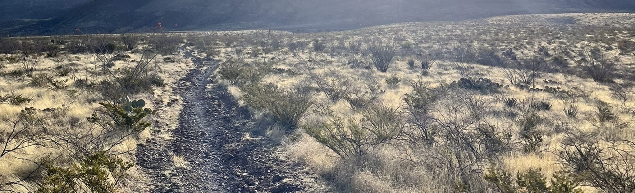 Ten Minutes of Hell Trail: 39 Reviews, Map - Texas | AllTrails