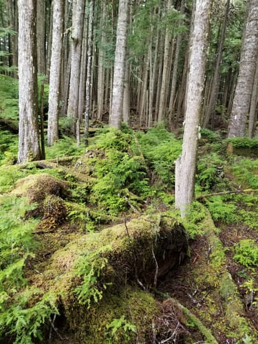 Best Hikes and Trails in Bere Point Regional Park | AllTrails