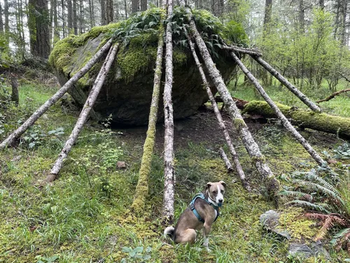 Best 10 Hiking Trails in Metchosin Wilderness Park | AllTrails