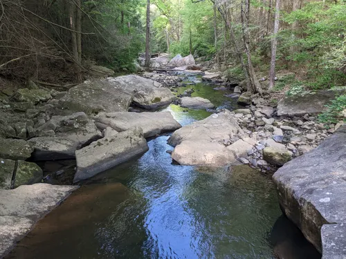 10 Best Hikes and Trails in Prentice Cooper State Forest | AllTrails