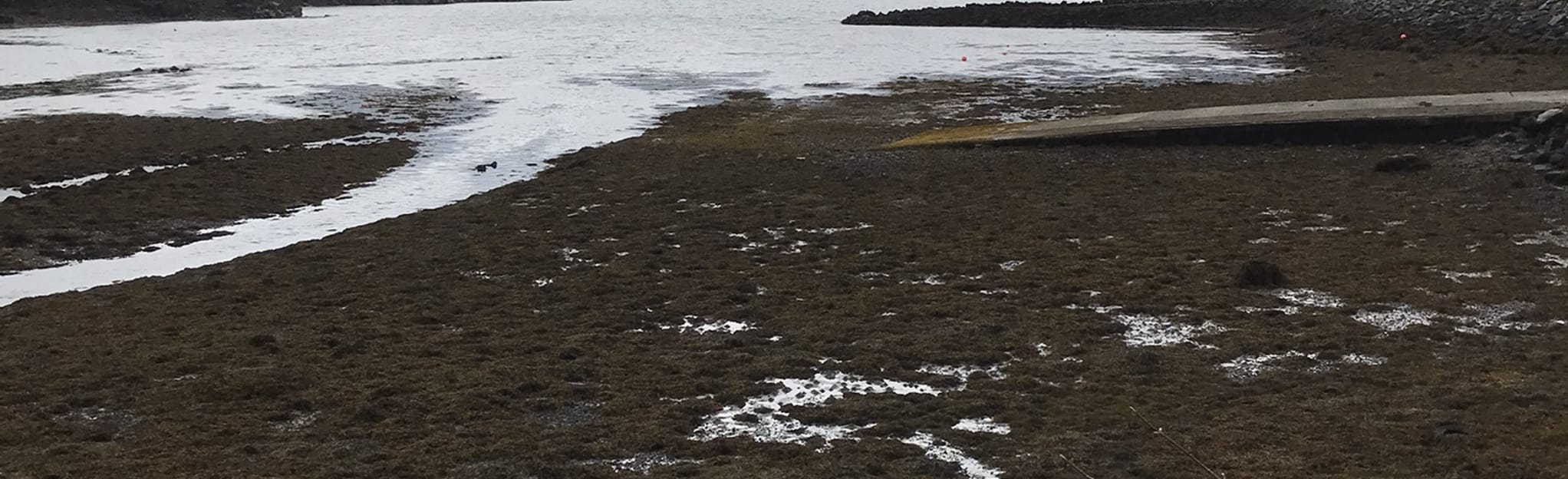 Flowerdale Waterfall, Highlands, Scotland - 50 Reviews, Map | AllTrails