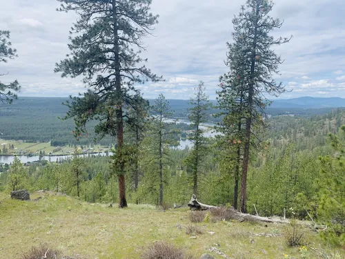 10 Best Trails and Hikes in Spokane | AllTrails