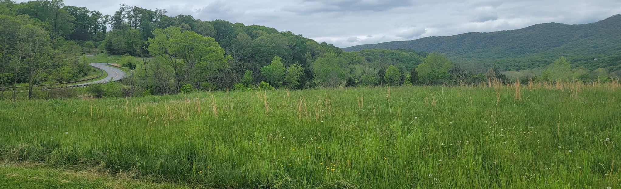 Bear Bottom and River Trail Loop - Virginia | AllTrails