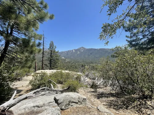 10 Best Trails and Hikes in Idyllwild-Pine Cove | AllTrails