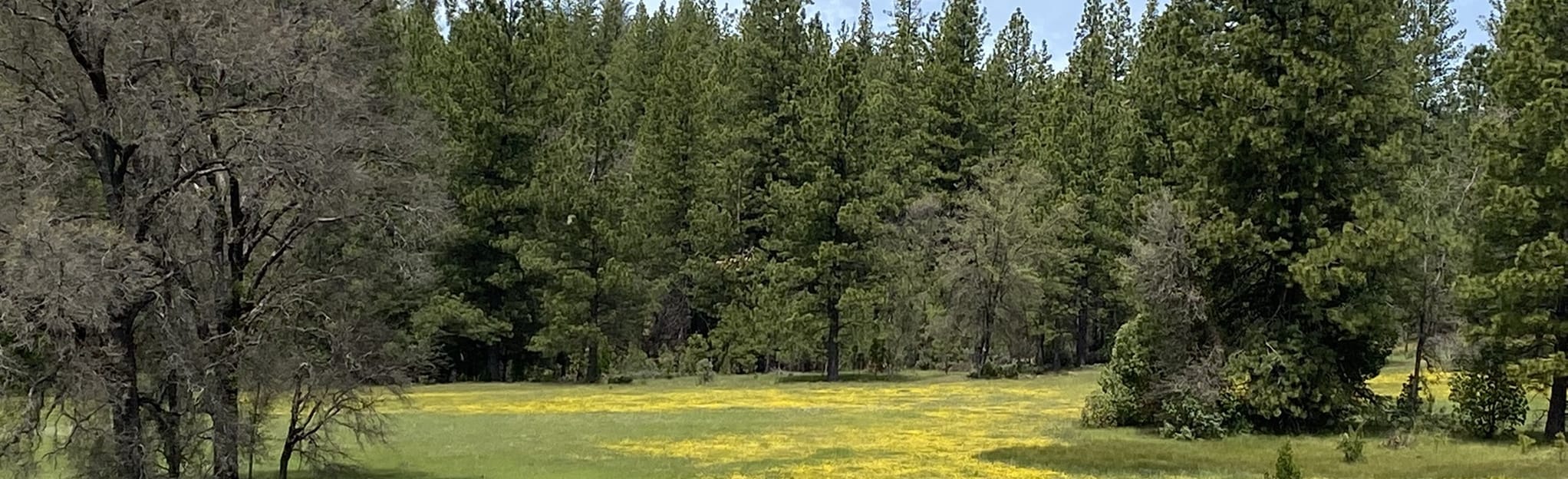 Indian Grinding Rock South Nature Trail: 119 Reviews, Map - California ...