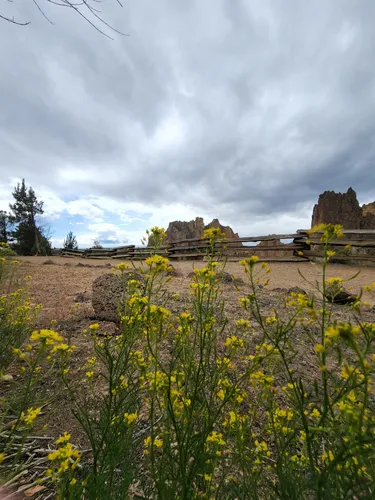 10 Best Easy Trails in Oregon | AllTrails