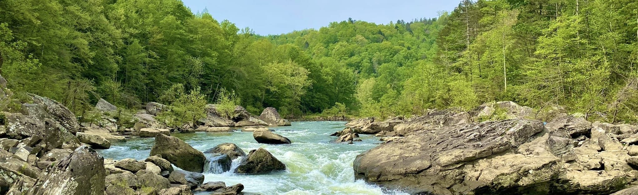 Angel Falls via John Smith Trail, Tennessee - 29 Reviews, Map | AllTrails