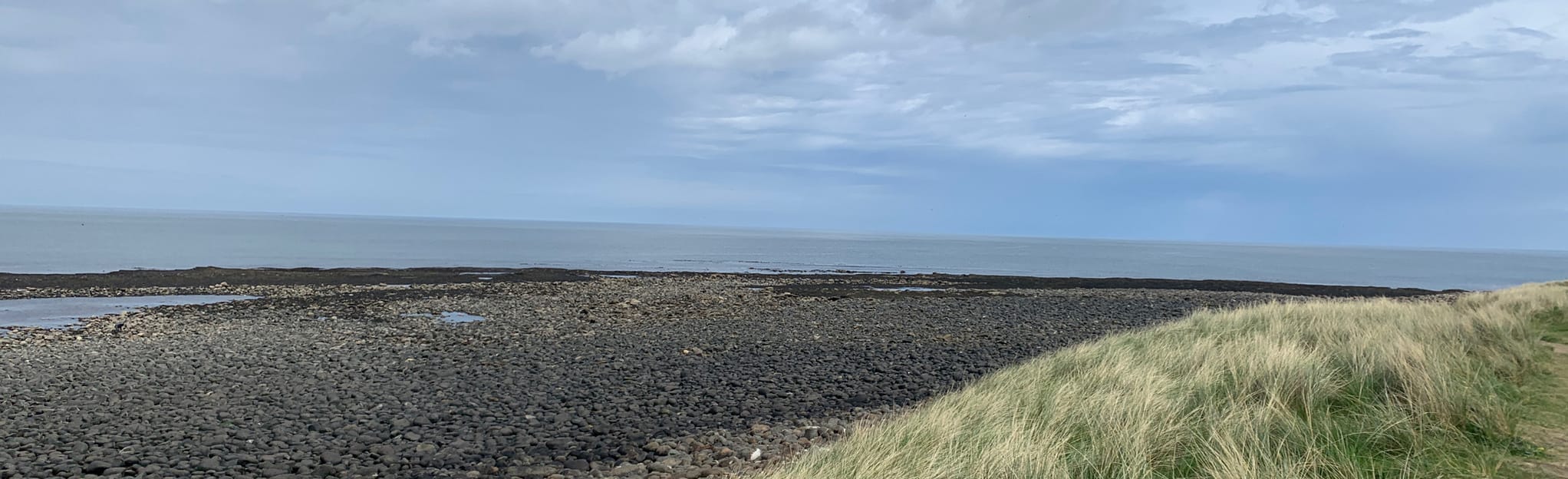 Seahouses to Craster: 37 Reviews, Map - Northumberland, England | AllTrails