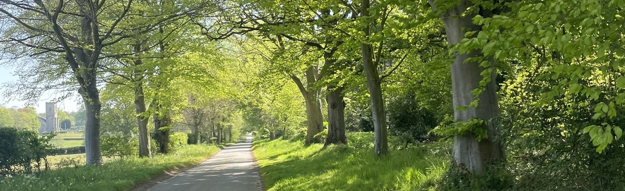 Hingham, Manson Green and Hardingham Circular, Norfolk, England - 44 ...
