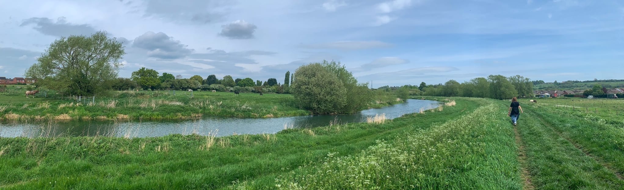 River Witham Circular, 80 Fotos - Lincolnshire, England | AllTrails