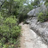 Jacob’s Well Trail, Texas - 356 Reviews, Map | AllTrails