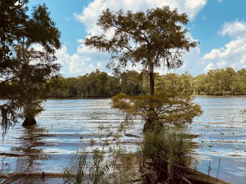 Best Hikes and Trails in Fairview-Riverside State Park | AllTrails