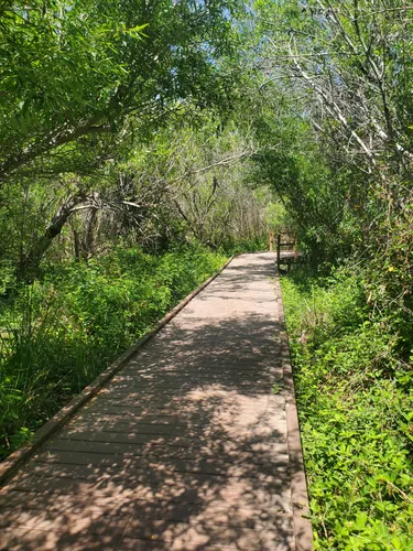 10 Best Trails and Hikes in Oceanside | AllTrails