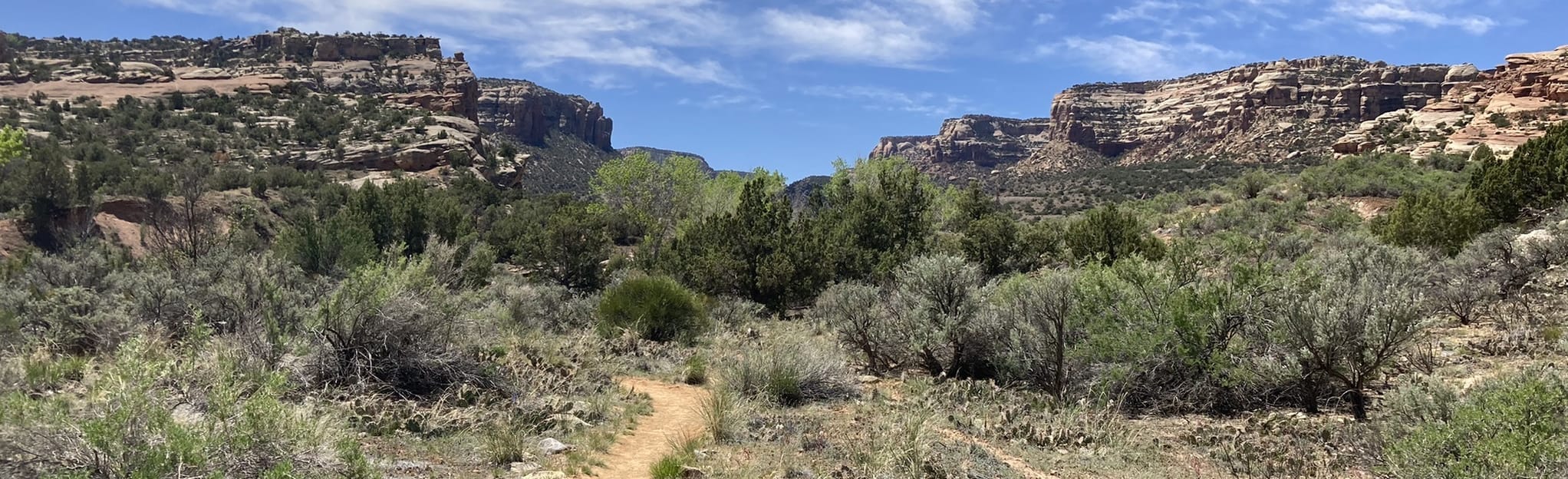 Old Gordon Trail, Colorado - 113 Reviews, Map | AllTrails