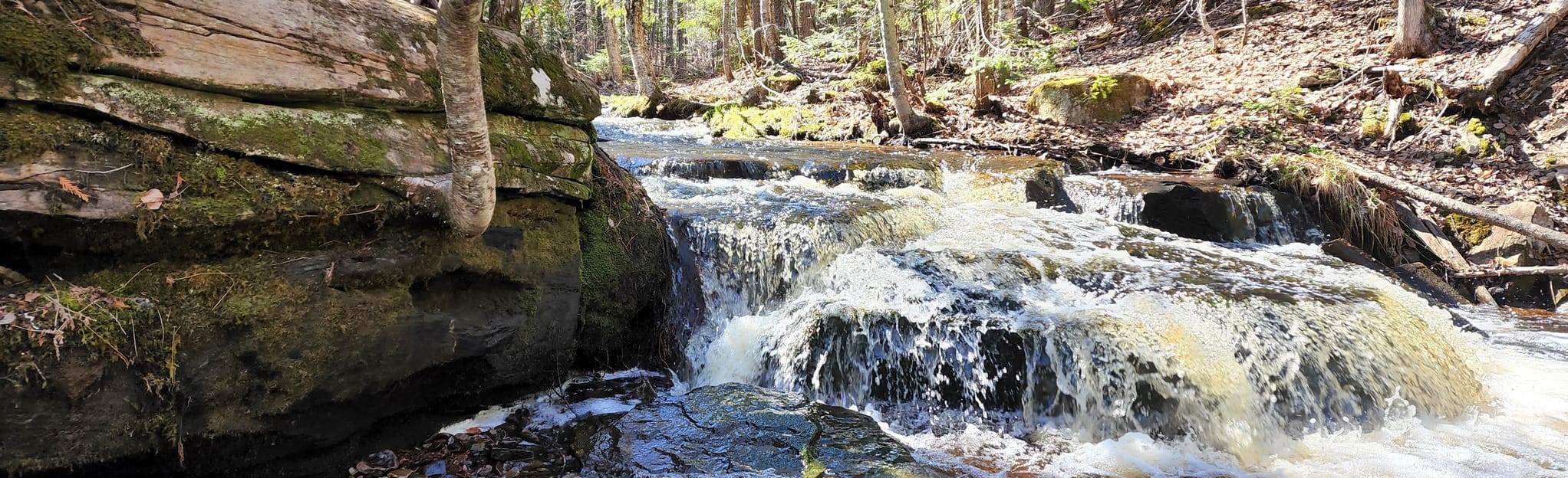 Corbett Brook Falls, New Brunswick, Canada - 105 Reviews, Map | AllTrails