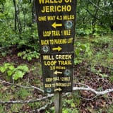 Walls of Jericho (TN Trailhead), Tennessee - 257 Reviews, Map | AllTrails