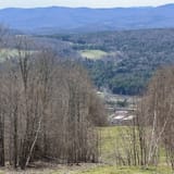 Paine Mountain, Vermont - 140 Reviews, Map | AllTrails