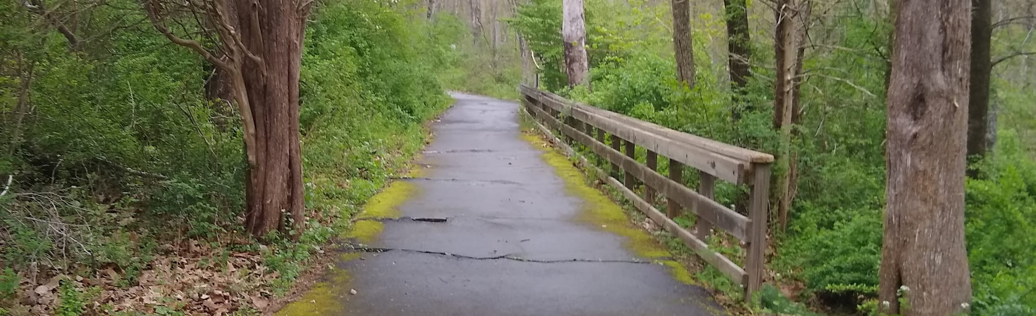 Racebrook Tract Interpretive Nature Trail, Connecticut - 66 Reviews ...