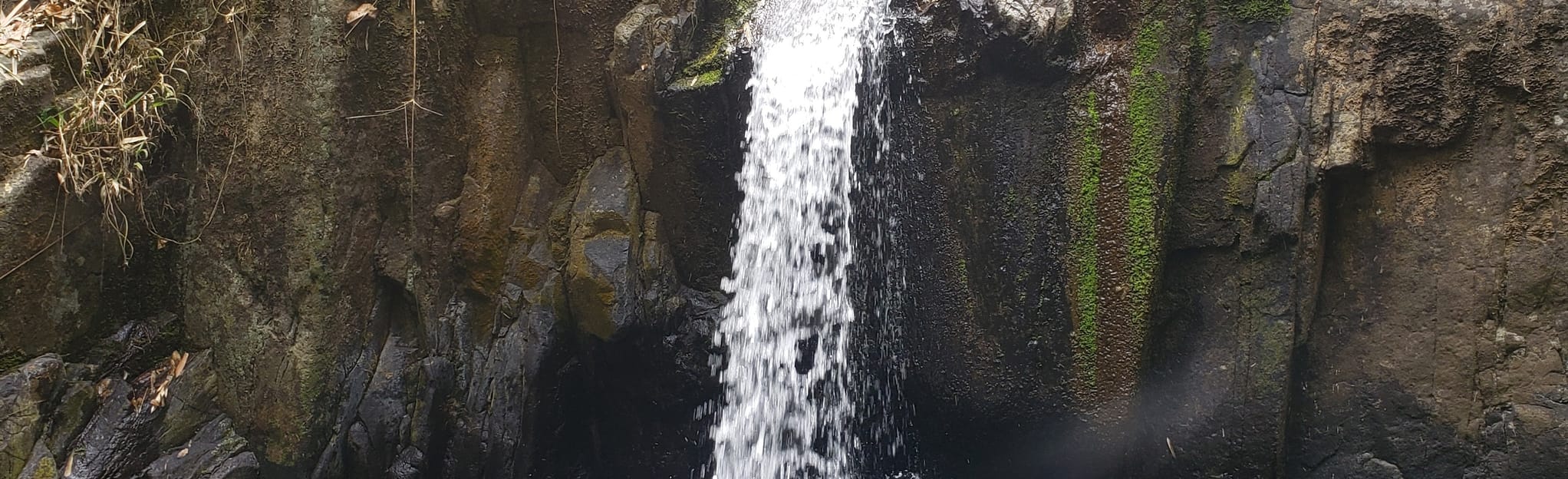 Subic Bay Forest Trail | Map, Guide - Bataan, Philippines | AllTrails