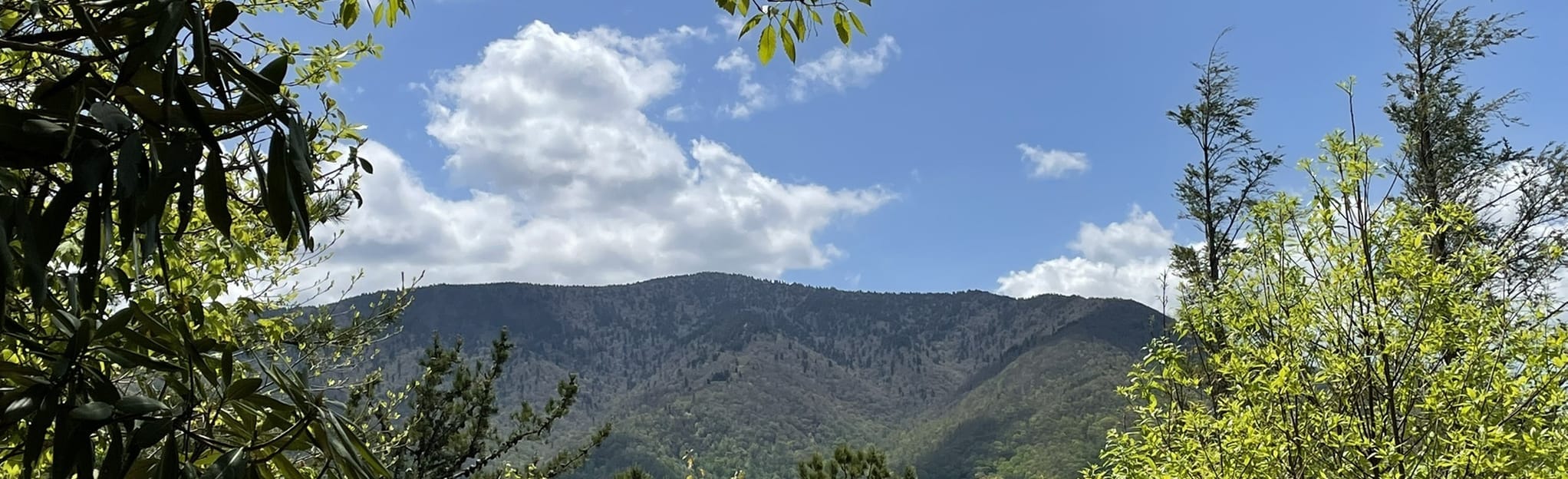 Sutton Ridge Overlook Trail, Tennessee - 483 Reviews, Map | AllTrails