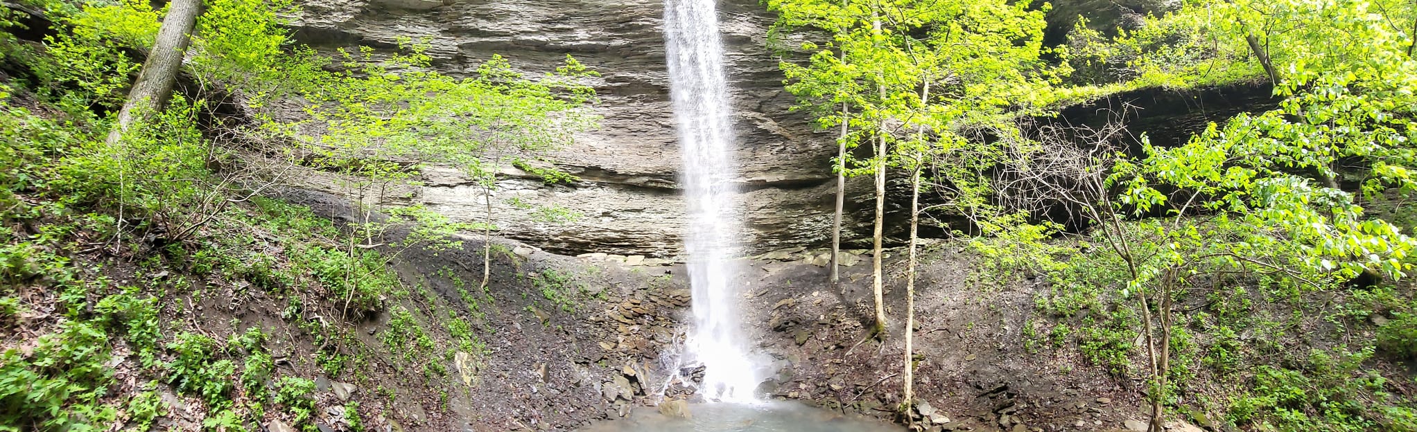 Terry Keefe and Calypso Falls, Arkansas - 169 Reviews, Map | AllTrails