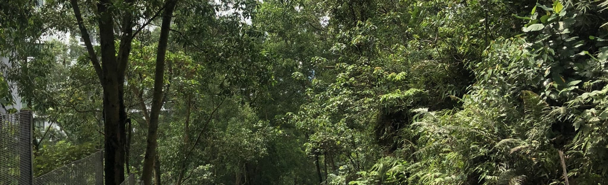 Bukit Besi via Alam Damai: 17 Reviews, Map - Selangor, Malaysia | AllTrails