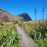 Pararaha Coastal Track to Pararaha Valley [CLOSED], Auckland, New ...