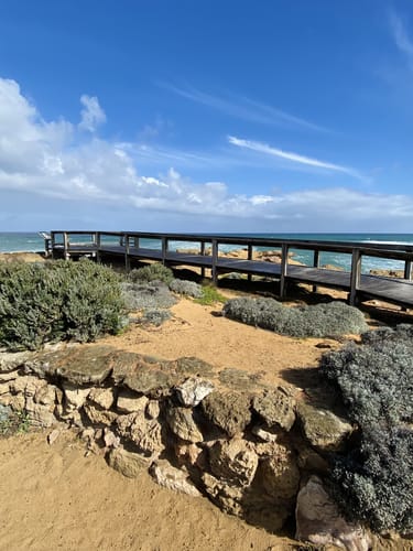 Best Hikes and Trails in Thunder Point Coastal Reserve | AllTrails