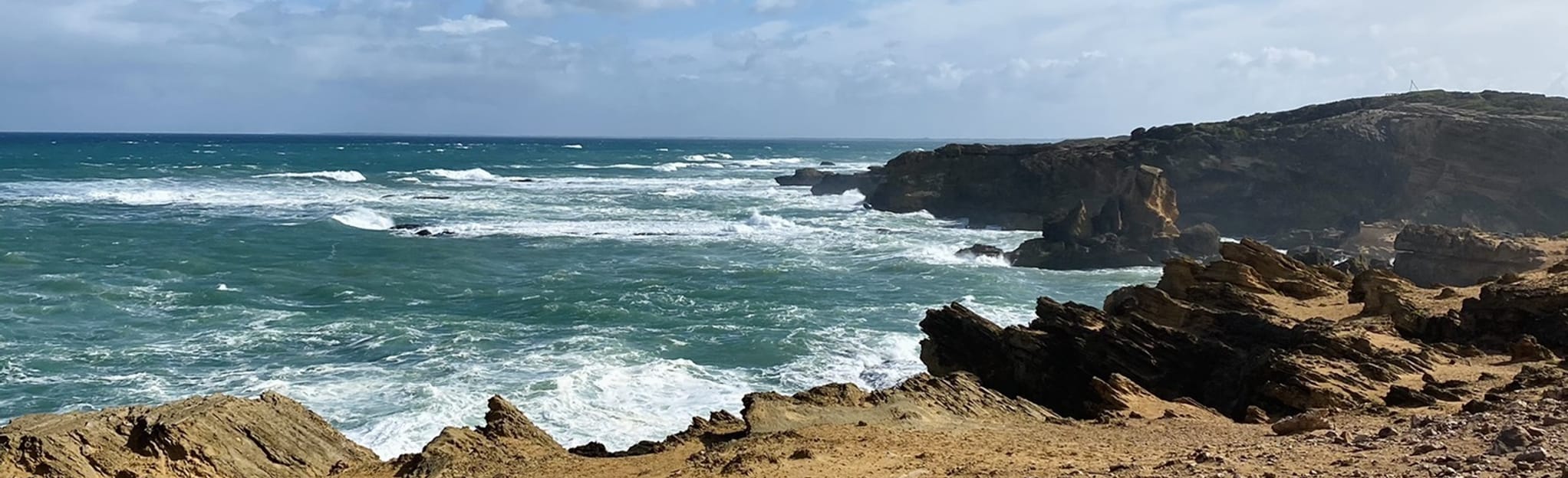 Thunder Point Walk: 37 Reviews, Map - Victoria, Australia | AllTrails