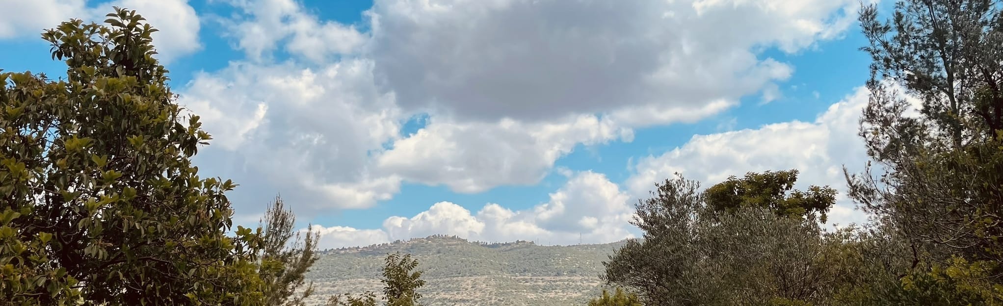 Nahal Sorek Nature Reserve Loop, Jerusalem, Israel - 83 Reviews, Map ...